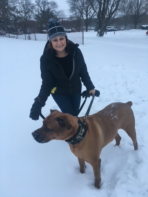 Leadership Team | Harmelin Media